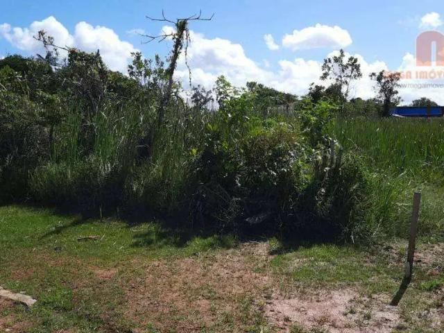 Terreno em Condomínio para Venda em Peruíbe/SP Bougainvillee V