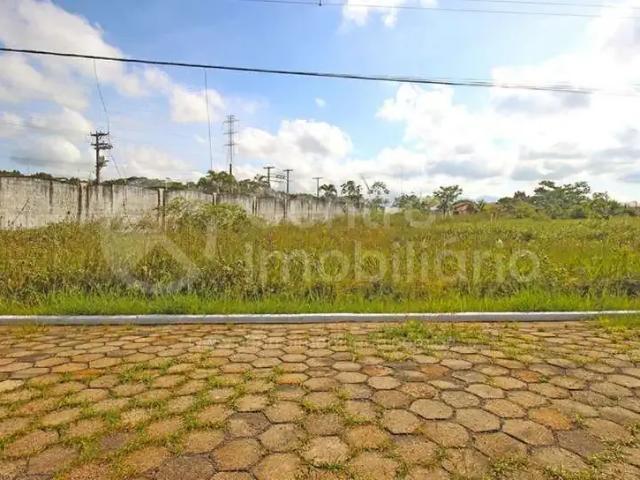 Terreno em Condomínio para Venda em Peruíbe/SP Bougainvillee V