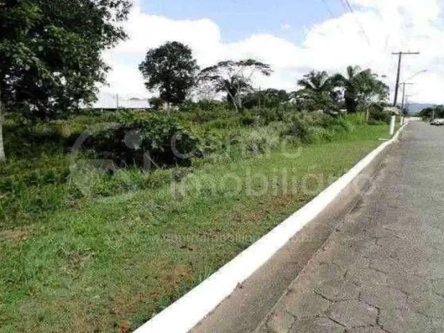Terreno em Condomínio para Venda em Peruíbe/SP Bougainvillee V