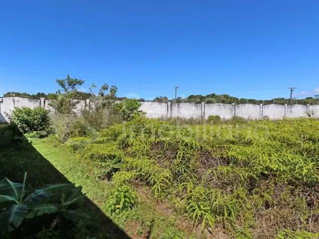 Terreno em Condomínio para Venda em Peruíbe/SP Bougainvillee V