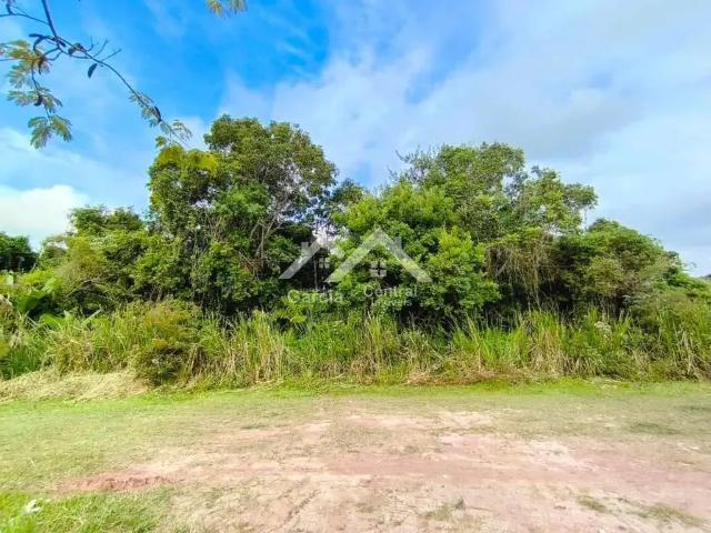 Terreno em Condomínio para Venda em Peruíbe/SP Jardim São Francisco