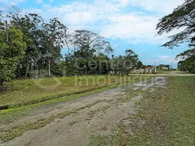 Terreno em Condomínio para Venda em Peruíbe/SP Jardim São Luis