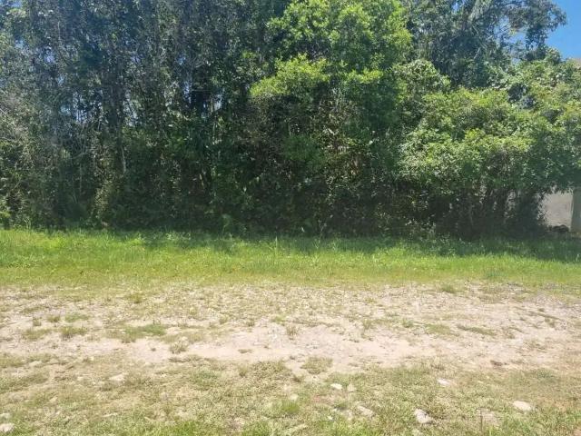 Terreno em Condomínio para Venda em Peruíbe/SP Jardim São Luis