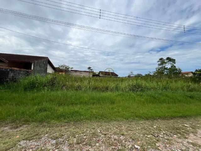 Terreno em Condomínio para Venda em Peruíbe/SP Jardim São Luis