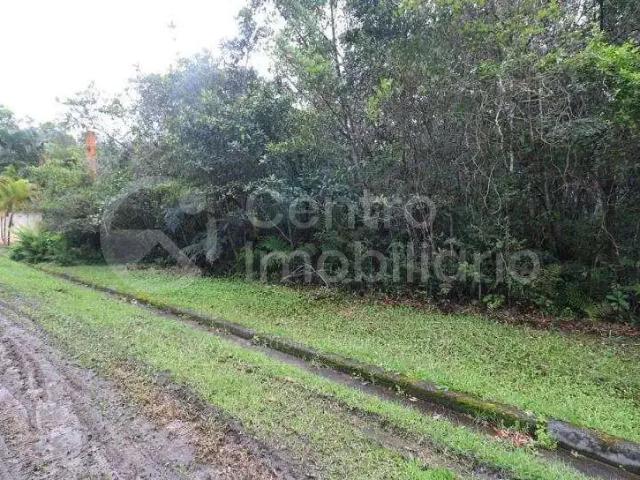 Terreno em Condomínio para Venda em Peruíbe/SP Jardim São Luis