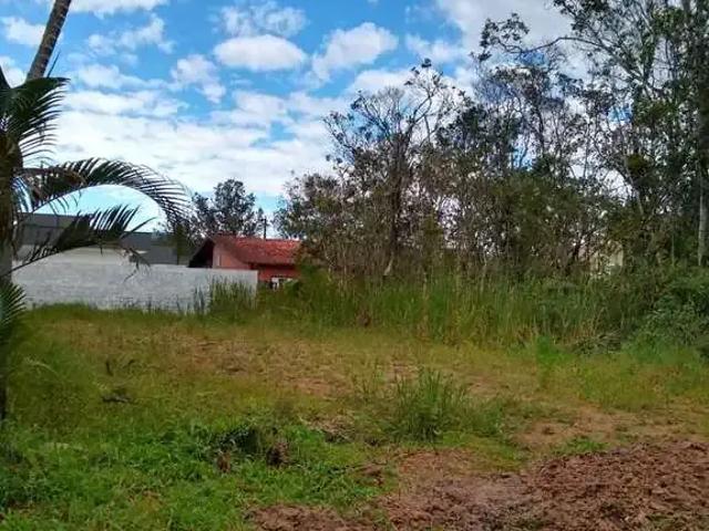 Terreno em Condomínio para Venda em Peruíbe/SP Jardim São Luis
