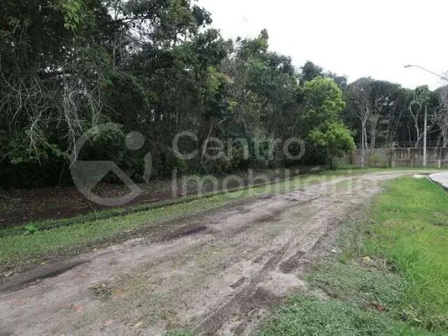 Terreno em Condomínio para Venda em Peruíbe/SP Jardim São Luis