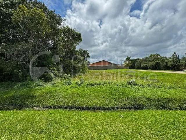 Terreno em Condomínio para Venda em Peruíbe/SP Jardim São Luis