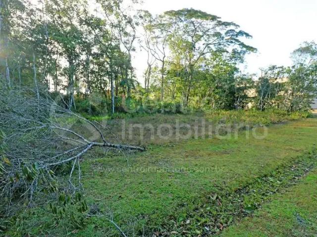 Terreno em Condomínio para Venda em Peruíbe/SP Jardim São Luis