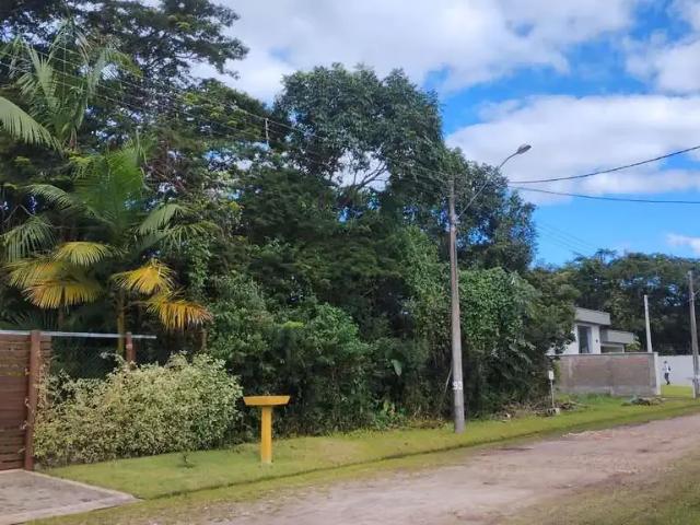 Terreno em Condomínio para Venda em Peruíbe/SP Jardim São Luis