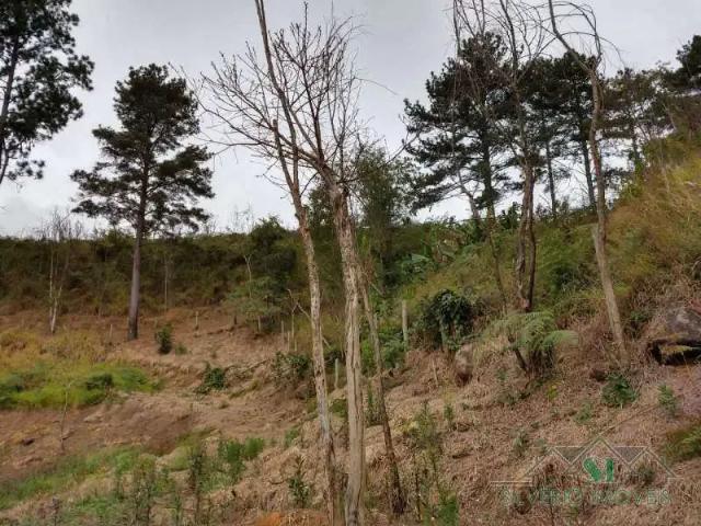 Terreno em Condomínio para Venda em Petrópolis/RJ Itaipava