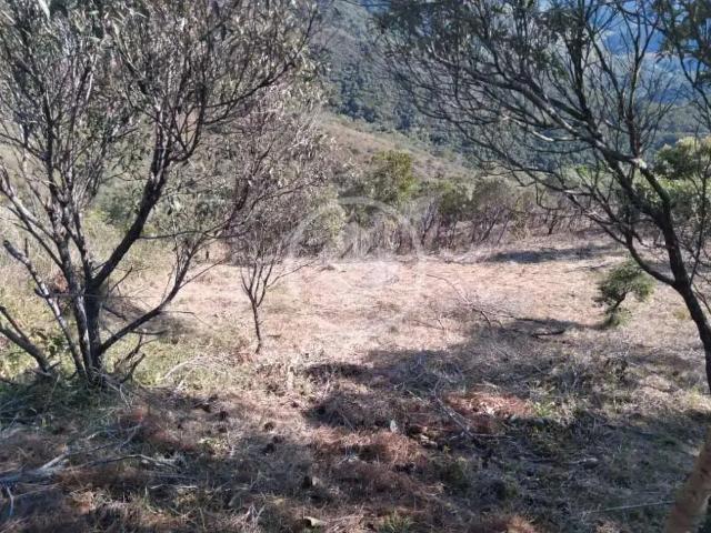 Terreno em Condomínio para Venda em Petrópolis/RJ Itaipava