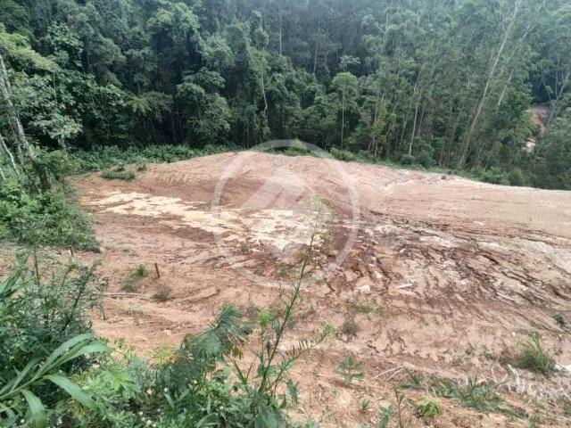 Terreno em Condomínio para Venda em Petrópolis/RJ Itaipava