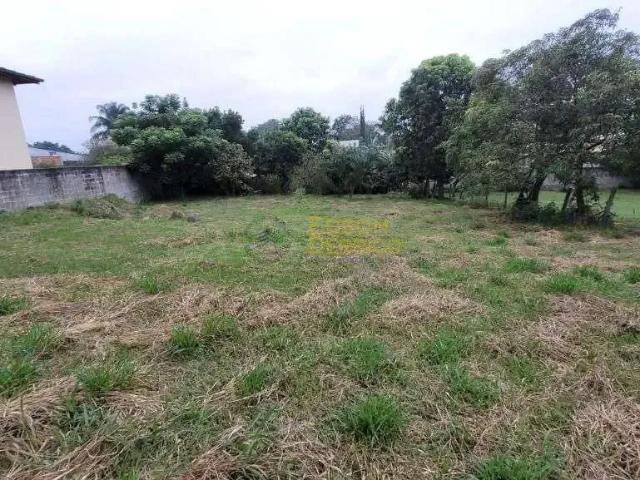 Terreno em Condomínio para Venda em Pindamonhangaba/SP Nossa Senhora do Perpétuo Socorro