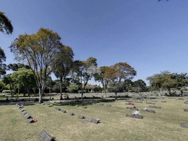 Terreno em Condomínio para Venda em Pinhais/PR Atuba