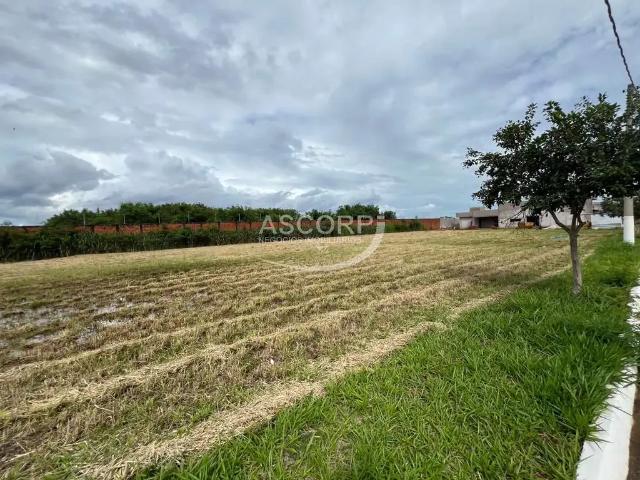 Terreno em Condomínio para Venda em Piracicaba/SP Campestre