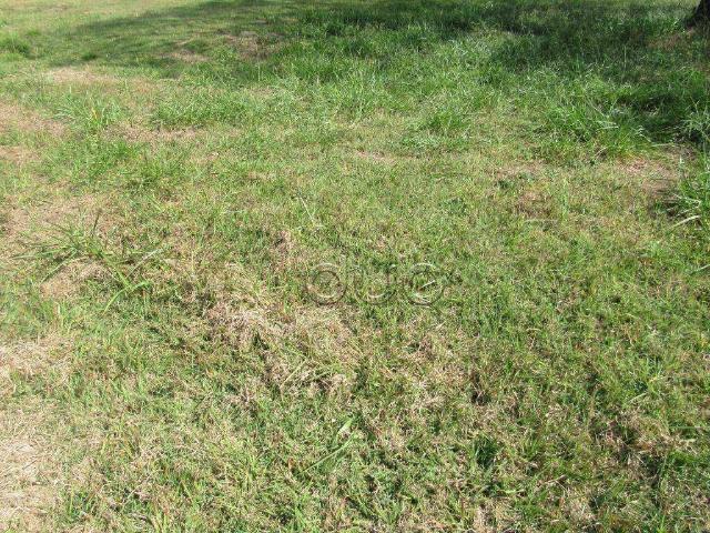 Terreno em Condomínio para Venda em Piracicaba/SP Loteamento Residencial Reserva do Engenho