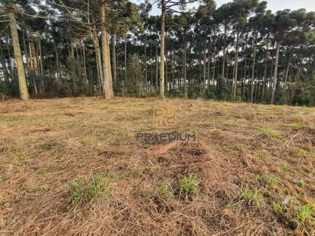 Terreno em Condomínio para Venda em Piraquara/PR Vila Fuck