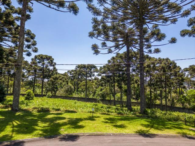 Terreno em Condomínio para Venda em Piraquara/PR Vila Fuck