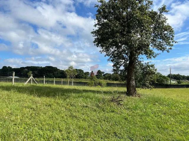Terreno em Condomínio para Venda em Piraquara/PR Planta Laranjeiras