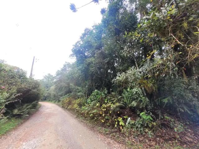 Terreno em Condomínio para Venda em Piraquara/PR Recreio da Serra