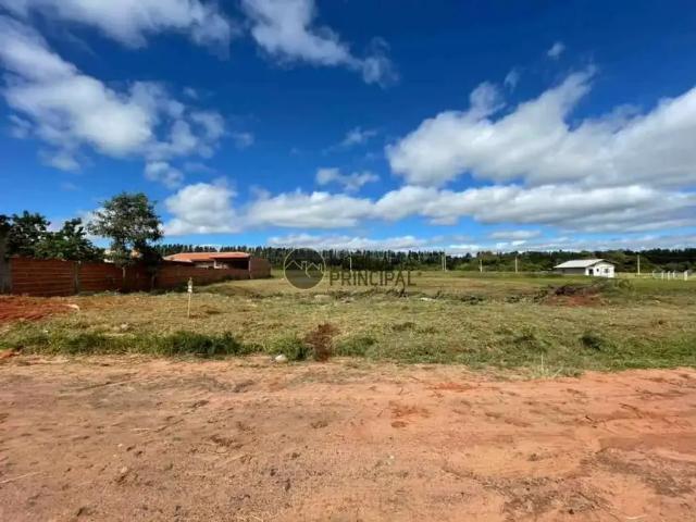 Terreno em Condomínio para Venda em Piratininga/SP Padre Unzué Verde