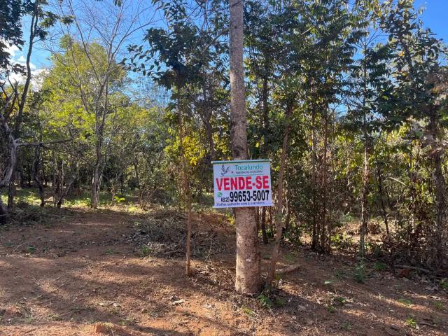 Terreno em Condomínio para Venda em Pirenópolis/GO Zona Rural