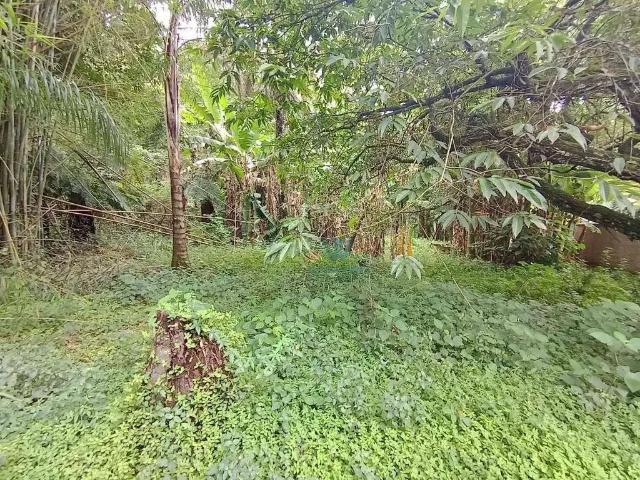 Terreno em Condomínio para Venda em Poços de Caldas/MG Bianucci