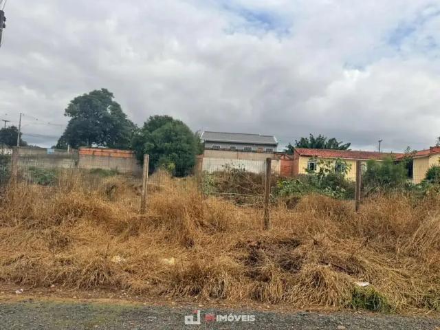Terreno em Condomínio para Venda em Ponta Grossa/PR Uvaranas