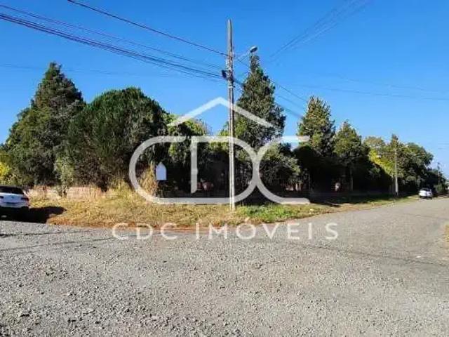 Terreno em Condomínio para Venda em Ponta Grossa/PR Uvaranas