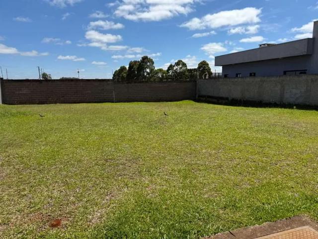 Terreno em Condomínio para Venda em Ponta Grossa/PR Cará cará