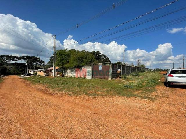 Terreno em Condomínio para Venda em Ponta Grossa/PR Cará cará