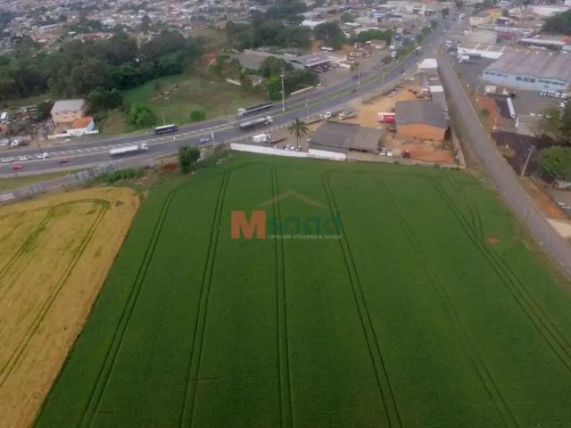 Terreno em Condomínio para Venda em Ponta Grossa/PR Chapada