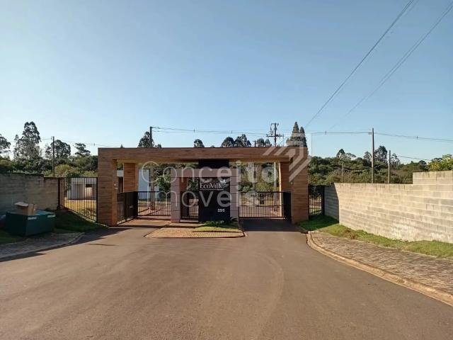 Terreno em Condomínio para Venda em Ponta Grossa/PR Contorno