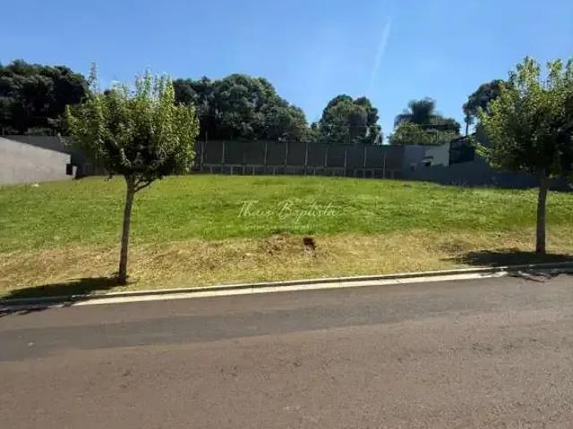 Terreno em Condomínio para Venda em Ponta Grossa/PR Colônia Dona LuÍza