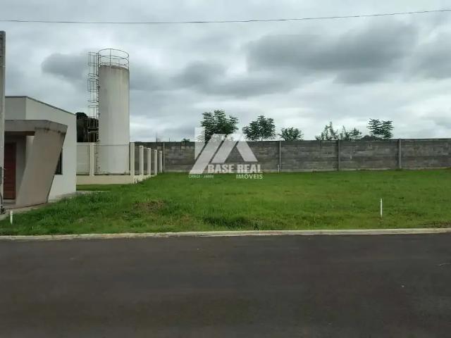 Terreno em Condomínio para Venda em Ponta Grossa/PR Colônia Dona LuÍza