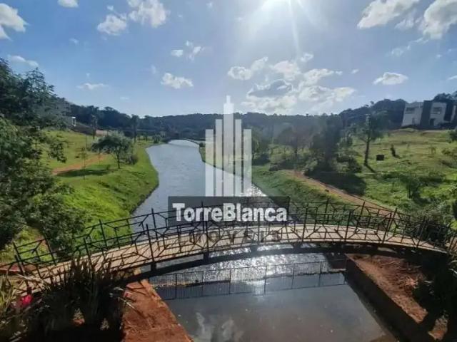 Terreno em Condomínio para Venda em Ponta Grossa/PR Colônia Dona LuÍza
