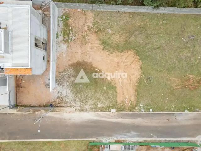 Terreno em Condomínio para Venda em Ponta Grossa/PR Colônia Dona LuÍza