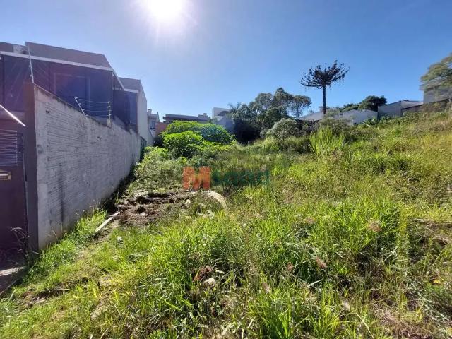 Terreno em Condomínio para Venda em Ponta Grossa/PR Estrela