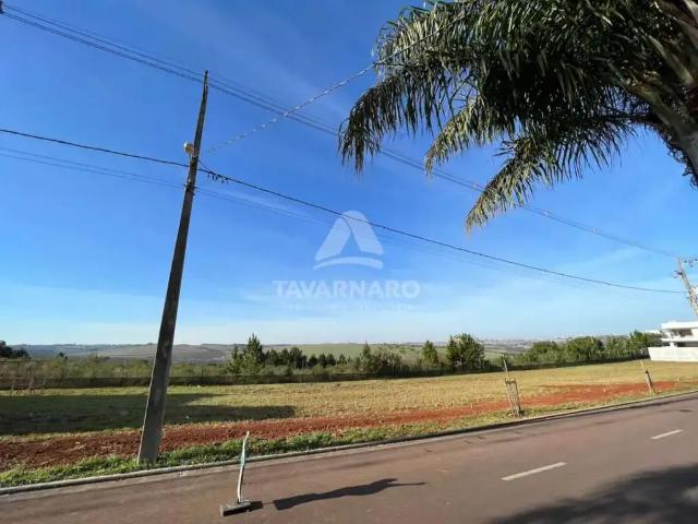 Terreno em Condomínio para Venda em Ponta Grossa/PR Jardim Carvalho