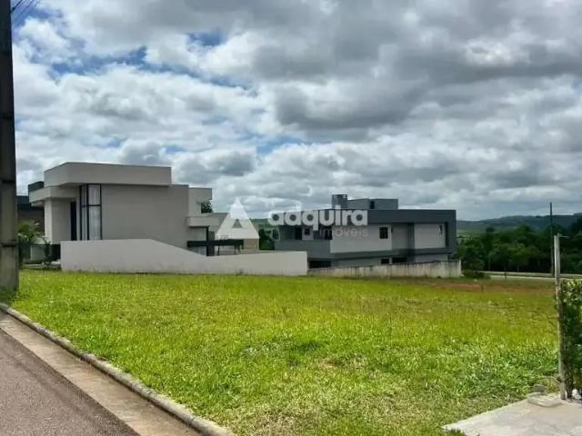 Terreno em Condomínio para Venda em Ponta Grossa/PR Jardim Carvalho