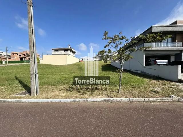 Terreno em Condomínio para Venda em Ponta Grossa/PR Jardim Carvalho