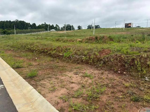 Terreno em Condomínio para Venda em Ponta Grossa/PR Jardim Carvalho