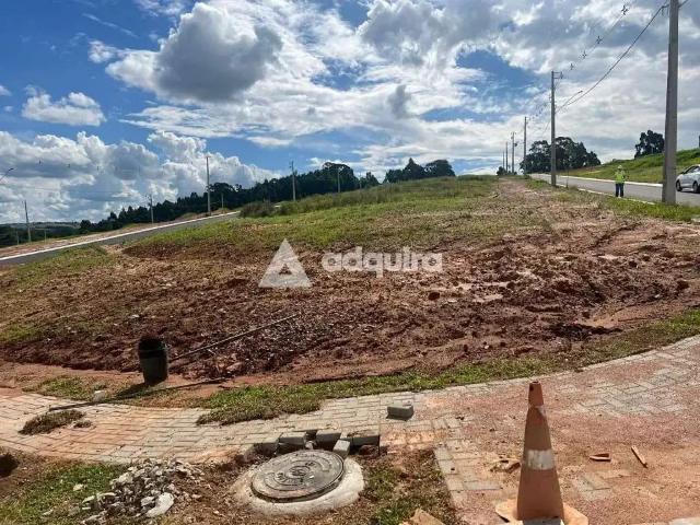 Terreno em Condomínio para Venda em Ponta Grossa/PR Jardim Carvalho