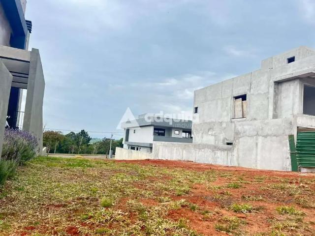 Terreno em Condomínio para Venda em Ponta Grossa/PR Jardim Carvalho
