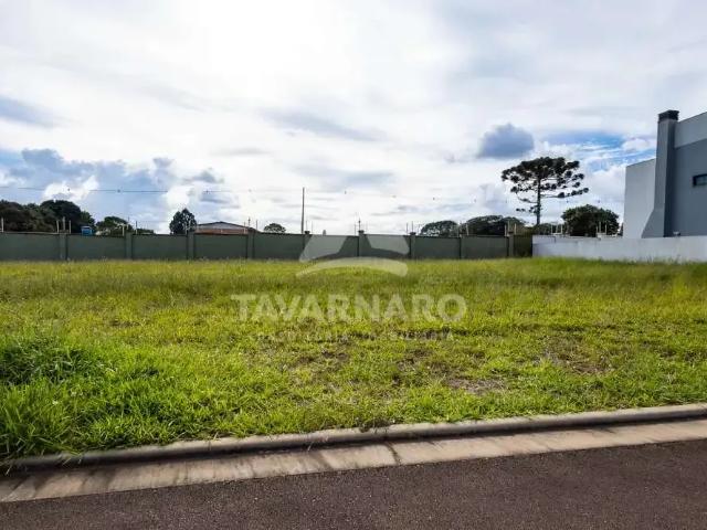 Terreno em Condomínio para Venda em Ponta Grossa/PR Jardim Carvalho
