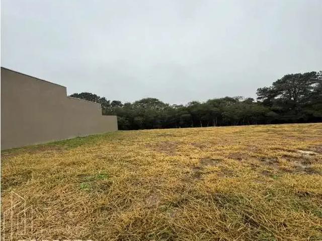 Terreno em Condomínio para Venda em Ponta Grossa/PR Jardim Carvalho