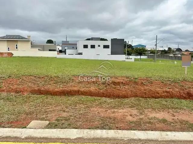 Terreno em Condomínio para Venda em Ponta Grossa/PR Jardim Carvalho