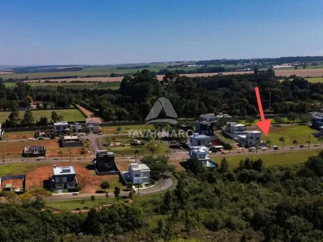 Terreno em Condomínio para Venda em Ponta Grossa/PR Jardim Carvalho