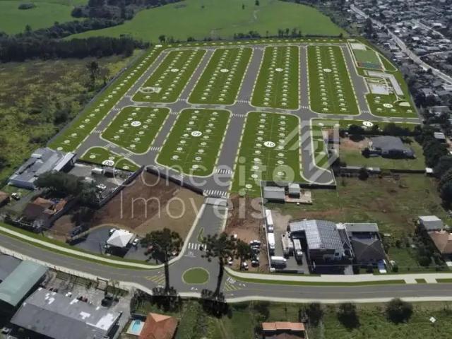 Terreno em Condomínio para Venda em Ponta Grossa/PR Jardim Carvalho